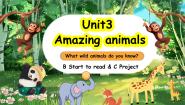 2024年《Unit3 Amazing animals》备课/教学资源下载_人教版PEP（2024）英语三年级上册（2024）-教习网