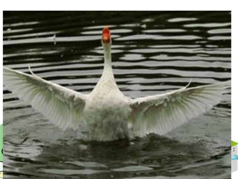 2020-2021学年老爷爷赶鹅备课课件ppt-教习网|课件下载