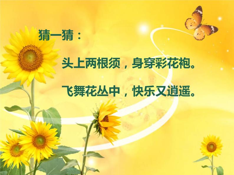 缤纷彩蝶PPT课件免费下载-教习网|课件下载