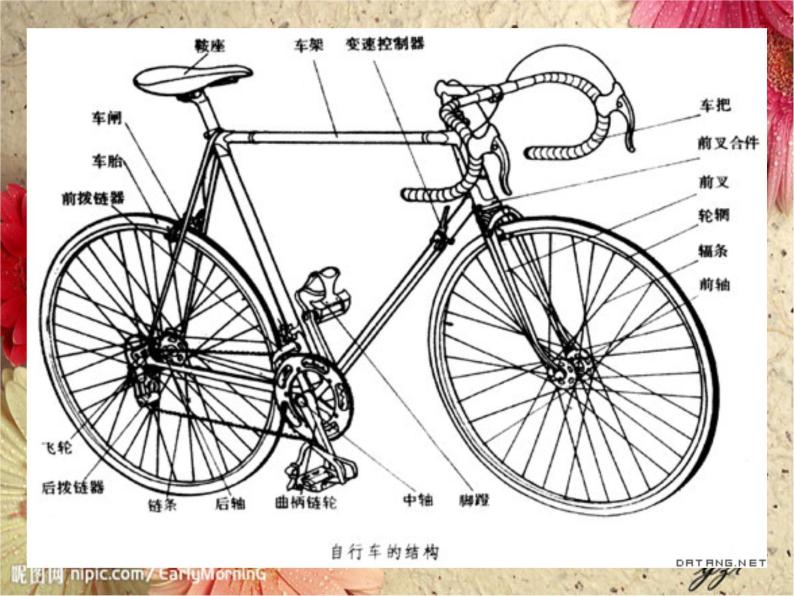 人美版四年级上册10.自行车局部写生教课ppt课件-教习网|课件下载