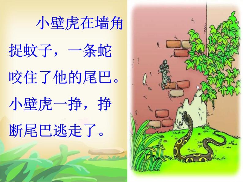 小学语文人教部编版一年级下册21 小壁虎借尾巴教课内容课件ppt-教习网|课件下载