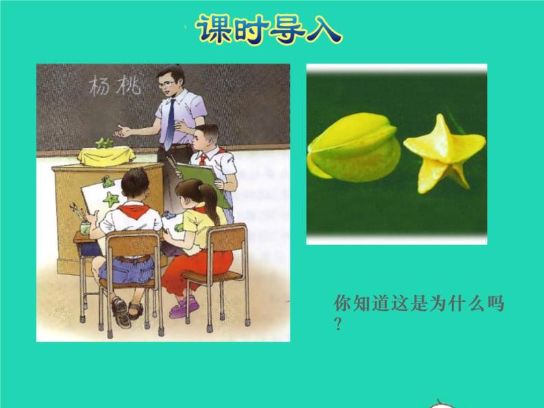 苏教版二年级上册七 观察物体授课ppt课件-教习网|课件下载