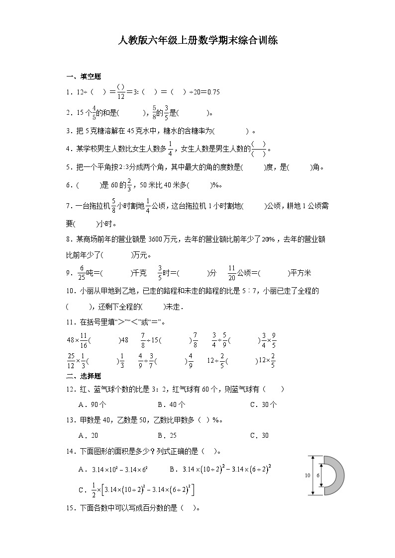 期末综合训练（试题）人教版六年级上册数学-教习网|试卷下载