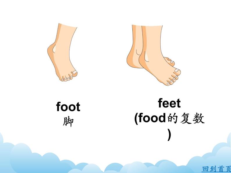 湘少版四年级下册Unit 10 He has two feet.说课ppt课件-教习网|课件下载