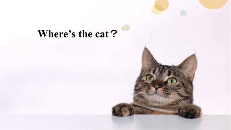外研版 (三年级起点)三年级上册Unit 2 Where's the cat?示范课ppt课件-教习网|课件下载