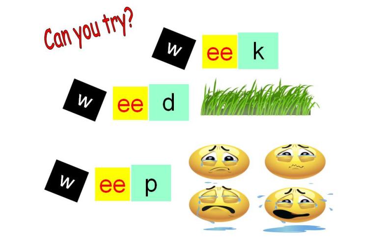 五年级上册英语课件-Unit 2 My week 人教PEP版(共19张PPT)-教习网|课件下载