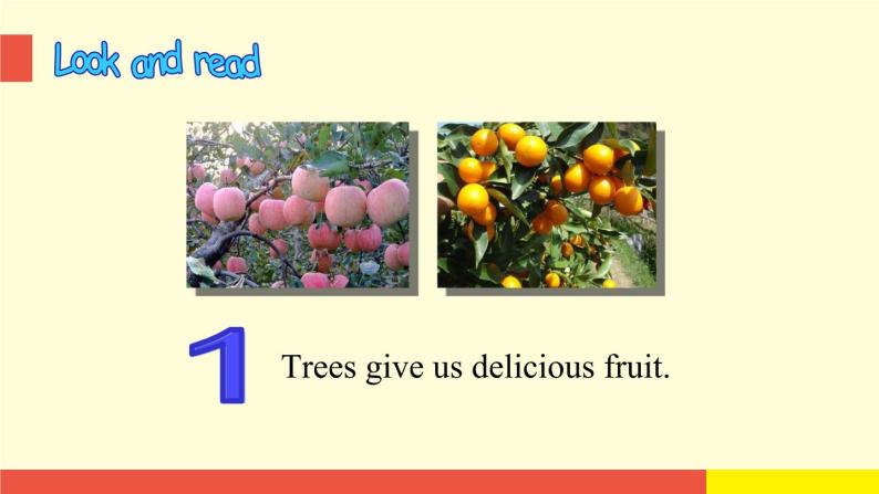 新版-牛津上海版六年级上册Unit 11 Trees教学课件ppt-教习网|课件下载