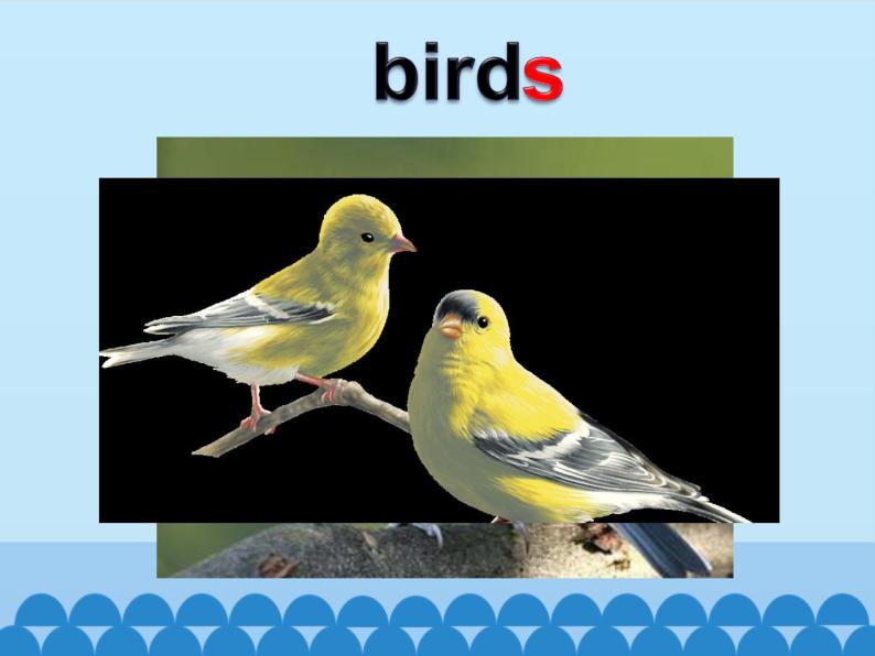 小学Unit 12 Whose rabbits are these?图片课件ppt-教习网|课件下载