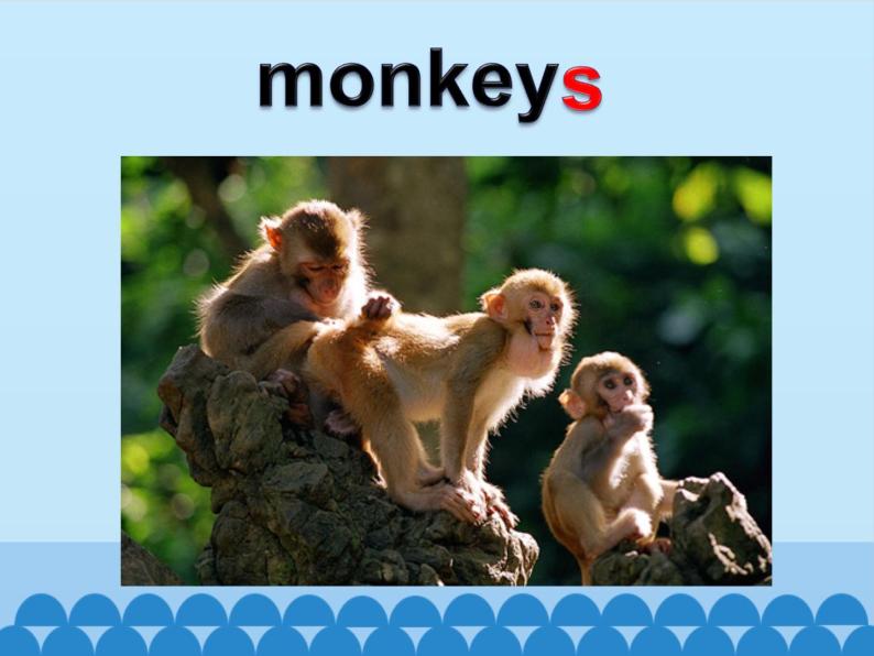 小学Unit 12 Whose rabbits are these?图片课件ppt-教习网|课件下载