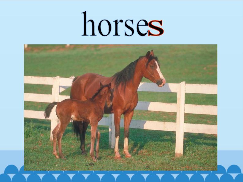 小学Unit 12 Whose rabbits are these?图片课件ppt-教习网|课件下载