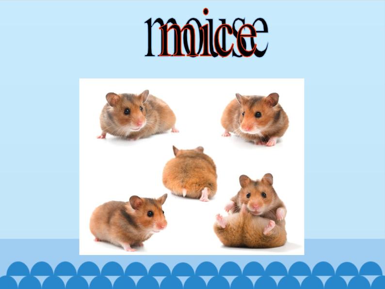 小学Unit 12 Whose rabbits are these?图片课件ppt-教习网|课件下载