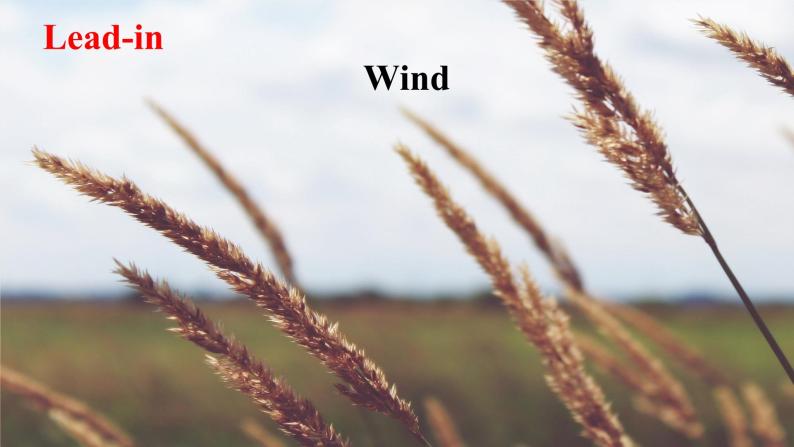 英语五年级上册Unit 10 Wind教学ppt课件-教习网|课件下载