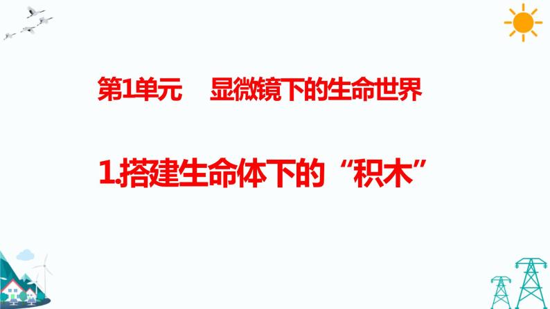 科学五年级下册1 搭建生命体的“积木”图片课件ppt-教习网|课件下载
