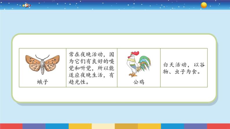 科学五年级下册11 昼夜对动物的影响获奖授课课件ppt-教习网|课件下载