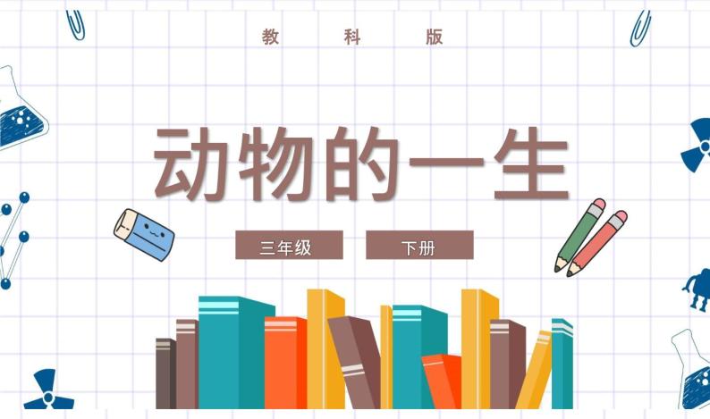 小学科学教科版 (2017)三年级下册8.动物的一生一等奖ppt课件-教习网|课件下载