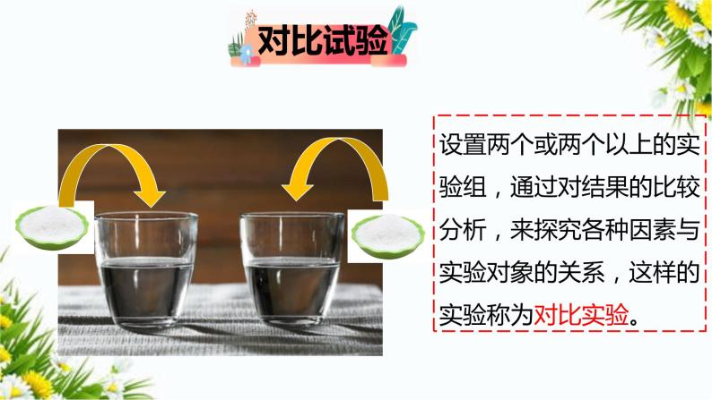 大象版 (2017)三年级上册2 溶解与搅拌多媒体教学课件ppt-教习网|课件下载