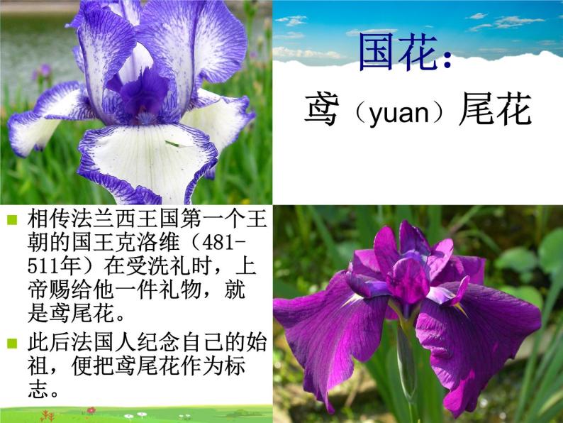 初中地理湘教版七年级下册第四节 法国课堂教学ppt课件 教习网课件下载