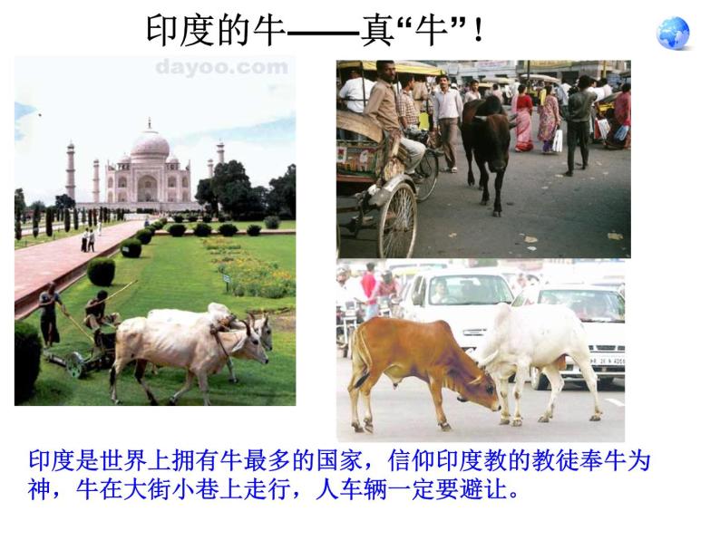 地理七年级下册第七章 我们邻近的国家和地区第三节 印度课文课件ppt 教习网课件下载