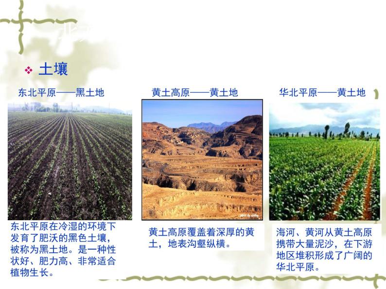 地理八年级下册第六章 北方地区第一节 自然特征与农业图文课件ppt 教习网课件下载