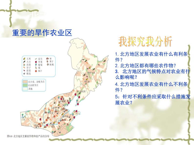 地理八年级下册第六章 北方地区第一节 自然特征与农业图文课件ppt 教习网课件下载