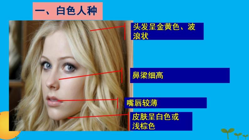 湘教版七年级上册第二节 世界的人种教课ppt课件 教习网课件下载