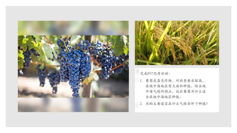 中图版八年级上册第二章 世界气候第三节 气候与人类活动课文配套课件ppt 教习网课件下载