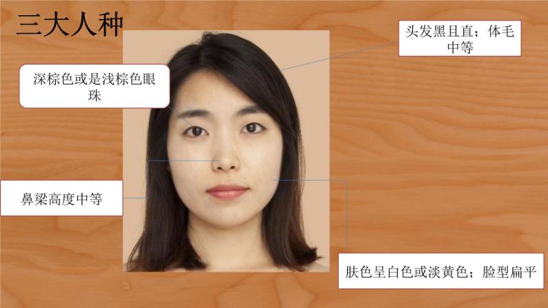 2020 2021学年第二节 世界的人种、语言和宗教教课ppt课件 教习网课件下载