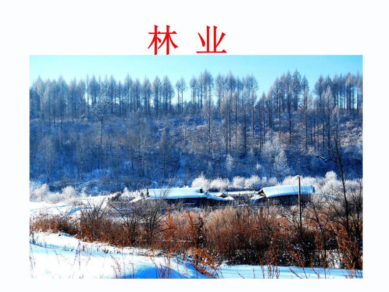 地理八年级上册第二节 农业课堂教学课件ppt 教习网课件下载