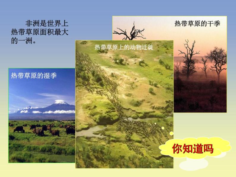 人教版 (新课标)七年级下册第三节 撒哈拉以南的非洲课堂教学课件ppt-教习网|课件下载