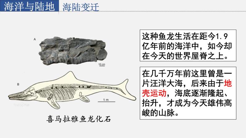 初中地理商务星球版七年级上册第三章 海洋与陆地第二节 海陆变迁优质课ppt课件 教习网课件下载