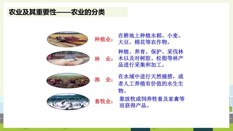 初中地理人教版 新课标八年级上册第四章 中国的经济发展第二节 农业优质课ppt课件 教习网课件下载