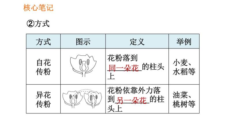 初中生物人教版 新课标七年级上册第三节 开花和结果习题ppt课件 教习网课件下载