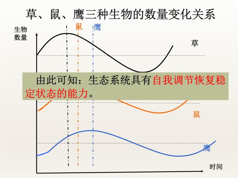 生物苏科版3 生态系统的自我调节背景图ppt课件 教习网课件下载