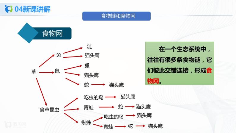 人教版 新课标七年级上册第二节 生物与环境组成生态系统优秀ppt课件 教习网课件下载