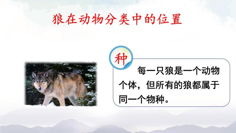 初中生物人教版 新课标八年级上册第六单元 生物的多样性及其保护第一章 根据生物的特征进行分类第二节 从种到界说课ppt课件 教习网课件下载