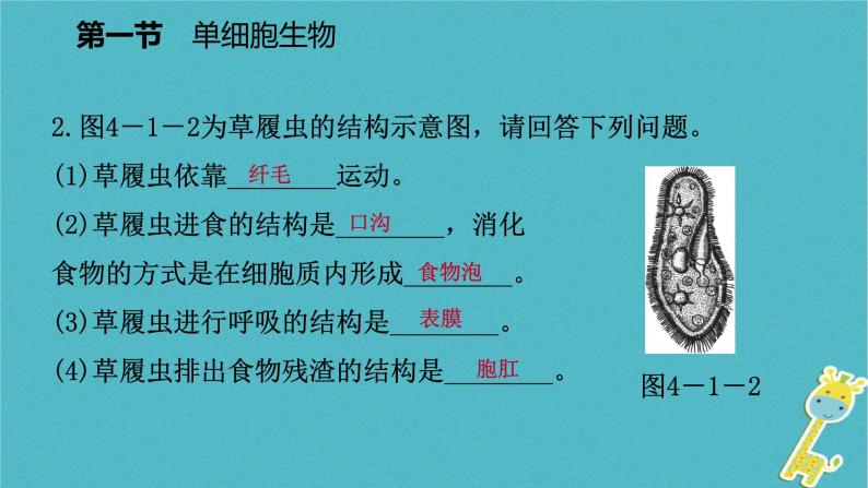 初中生物苏教版七年级上册第一节 单细胞生物备课课件ppt 教习网课件下载
