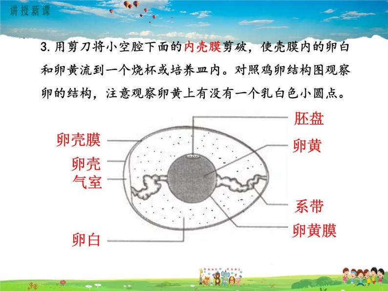初中生物人教版 新课标八年级下册第四节 鸟的生殖和发育教学课件ppt 教习网课件下载
