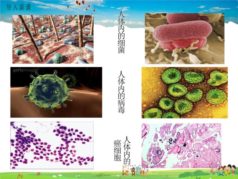 初中生物人教版 新课标八年级下册第八单元 健康地生活第一章 传染病和免疫第二节 免疫与计划免疫教学课件ppt 教习网课件下载