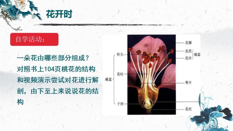 生物七年级上册第三节 开花和结果课文内容课件ppt 教习网课件下载