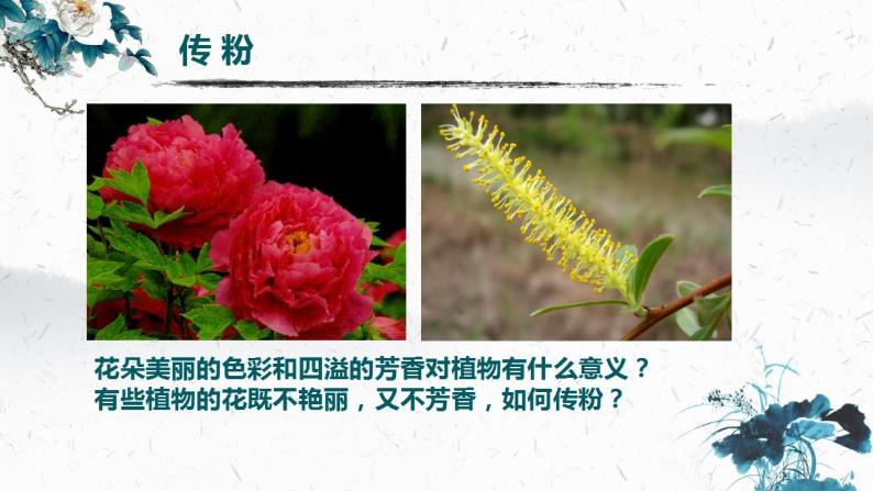 生物七年级上册第三节 开花和结果课文内容课件ppt 教习网课件下载