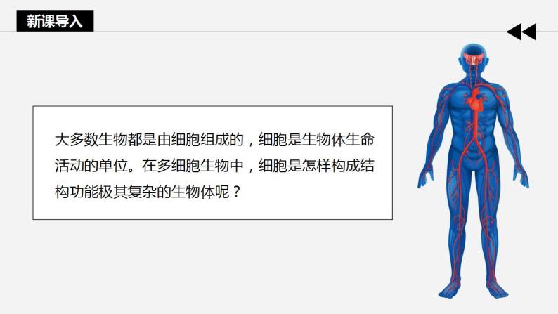 初中生物北师大版七年级上册第1节 细胞分化形成组织说课课件ppt 教习网课件下载