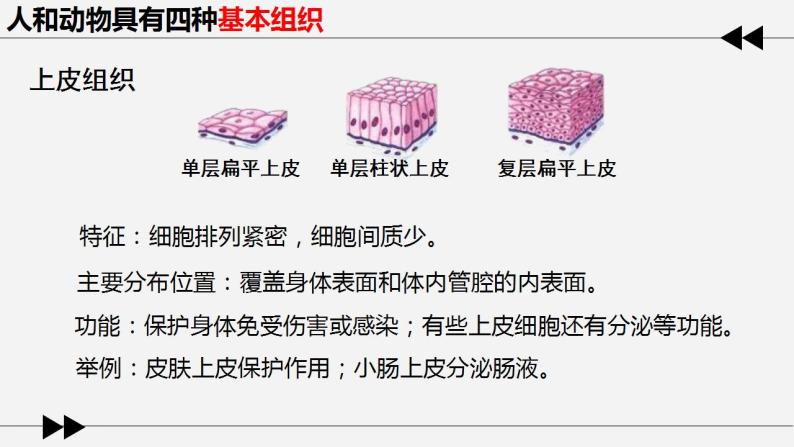 初中生物北师大版七年级上册第1节 细胞分化形成组织说课课件ppt 教习网课件下载