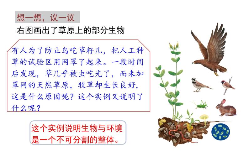 人教版 新课标七年级上册第二节 生物与环境组成生态系统授课ppt课件 教习网课件下载