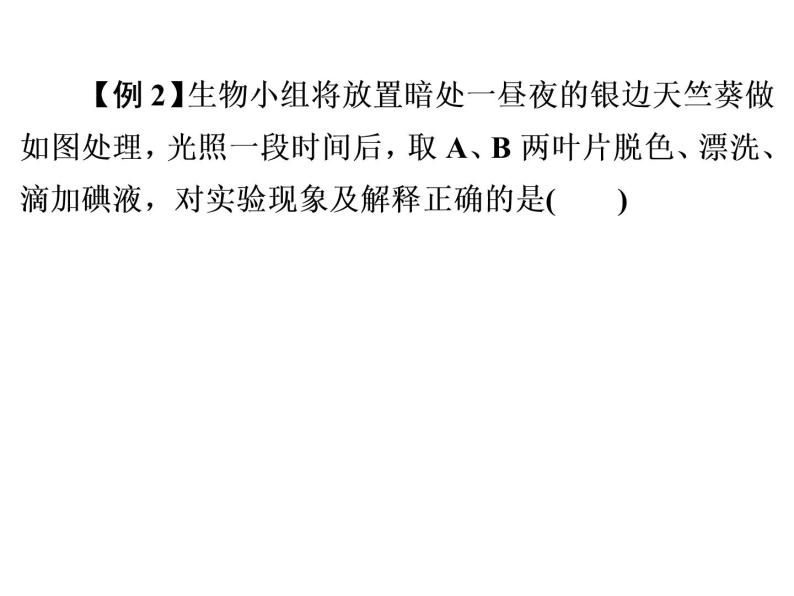 人教版 新课标七年级上册第三单元 生物圈中的绿色植物第五章 绿色植物与生物圈中的碳—氧平衡第一节 光合作用吸收二氧化碳释放氧气多媒体教学