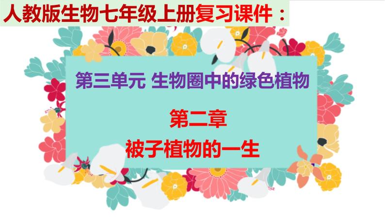 人教版 新课标七年级上册第二章 被子植物的一生综合与测试复习课件ppt 教习网课件下载