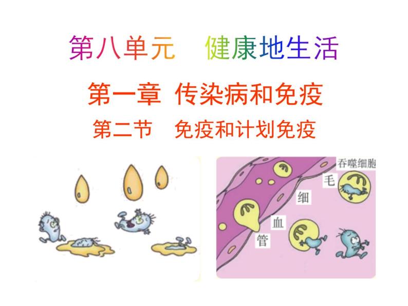人教版 新课标八年级下册第二节 免疫与计划免疫教学课件ppt 教习网课件下载