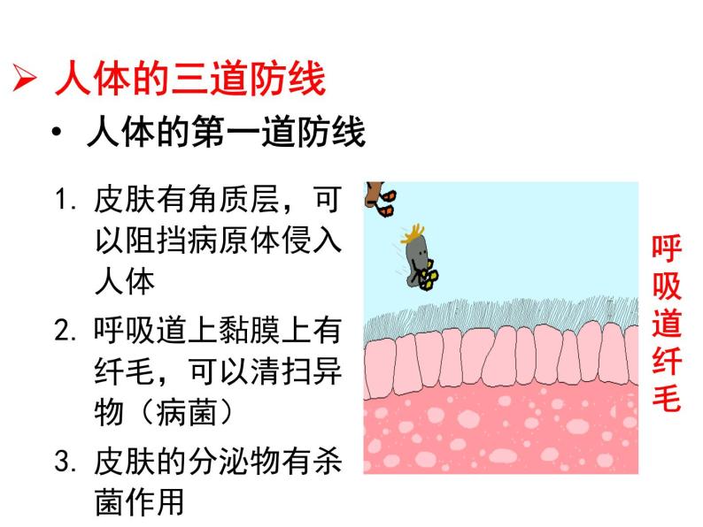 人教版 新课标八年级下册第二节 免疫与计划免疫教学课件ppt 教习网课件下载
