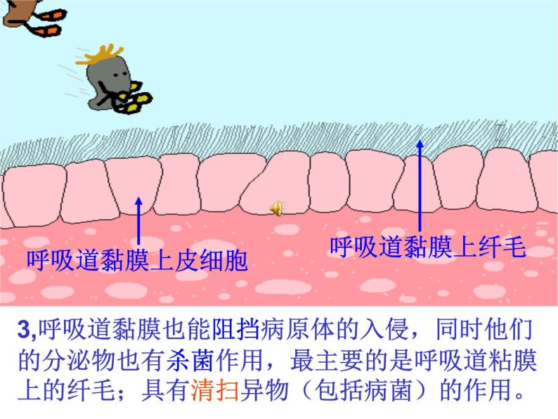 初中生物人教版 新课标八年级下册第二节 免疫与计划免疫教学ppt课件 教习网课件下载