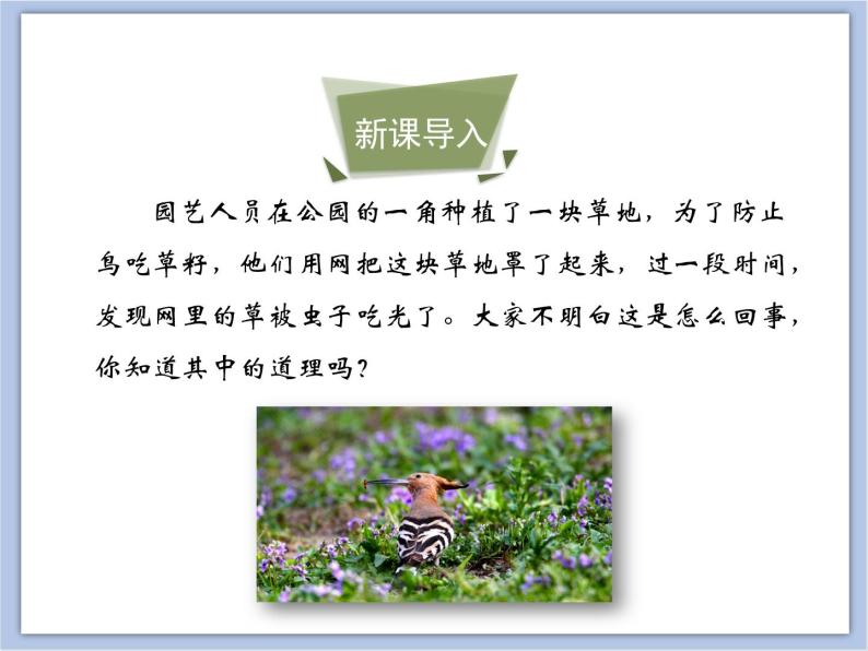 2020 2021学年第五节 生态系统的自我调节优质课课件ppt 教习网课件下载