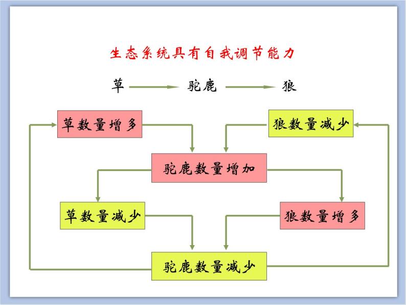 2020 2021学年第五节 生态系统的自我调节优质课课件ppt 教习网课件下载